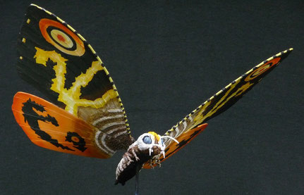 MOTHRA 1961 Gow Row